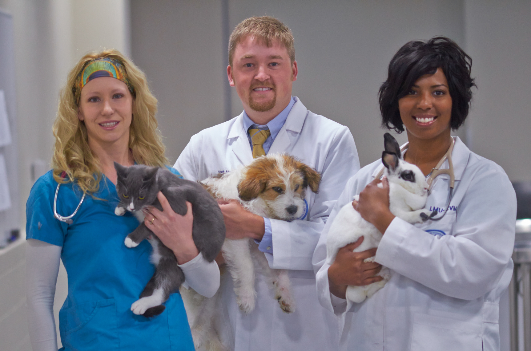 Master of Veterinary Education