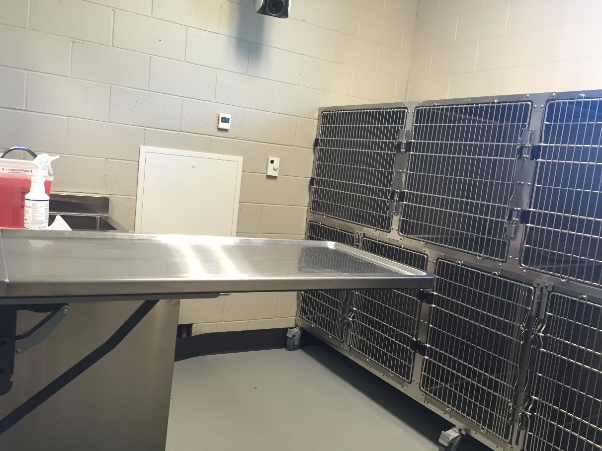 Small Animal Clinical Skills Center